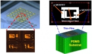 Numerical Simulation of Stretchable and Foldable Silicon Integrated Circuits > Journal ...