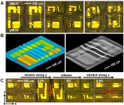 Stretchable and Foldable Silicon Integrated Circuits > Journal | Translational Soft Electronics ...